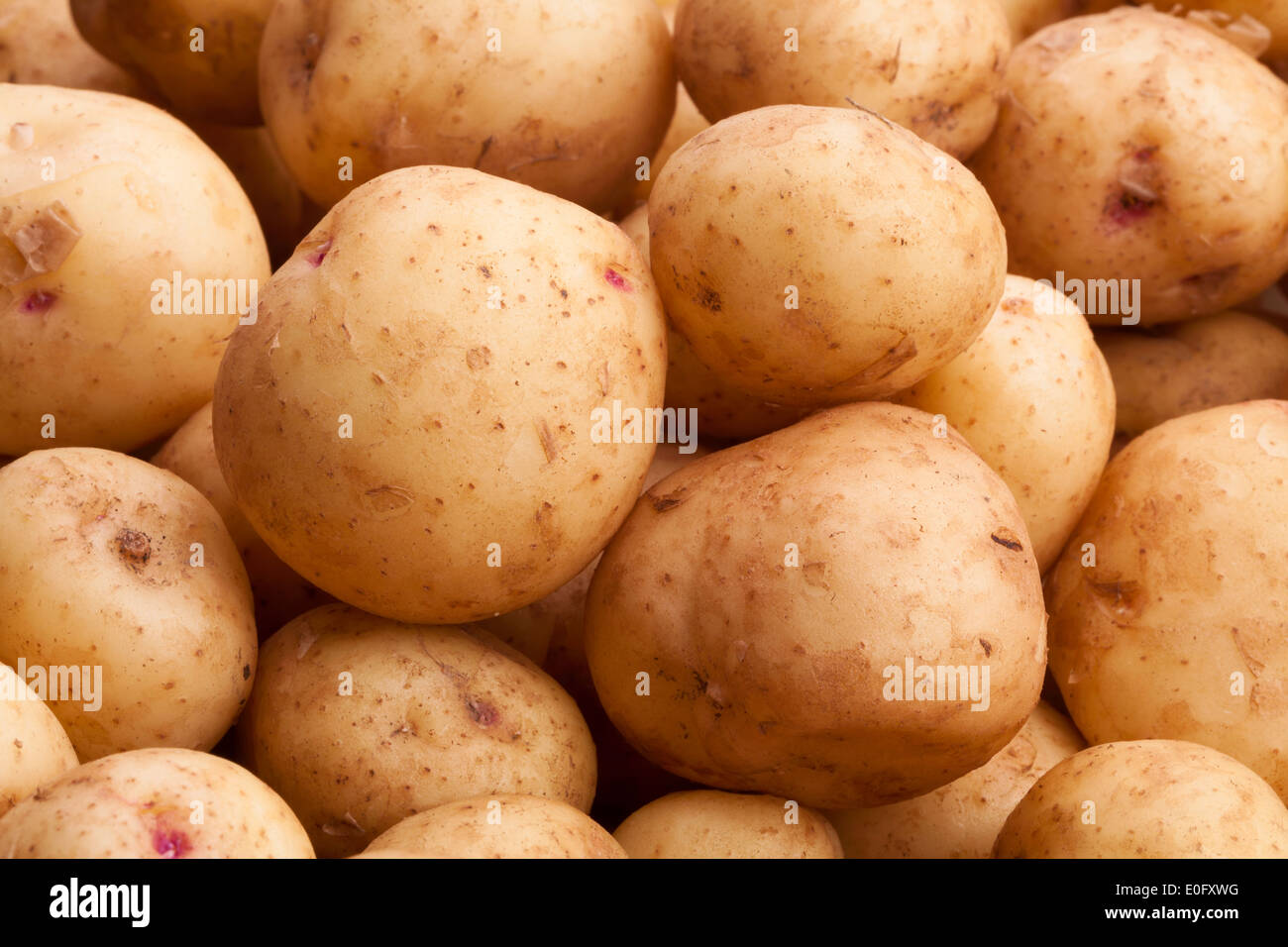 new potatoes closeup Stock Photo - Alamy