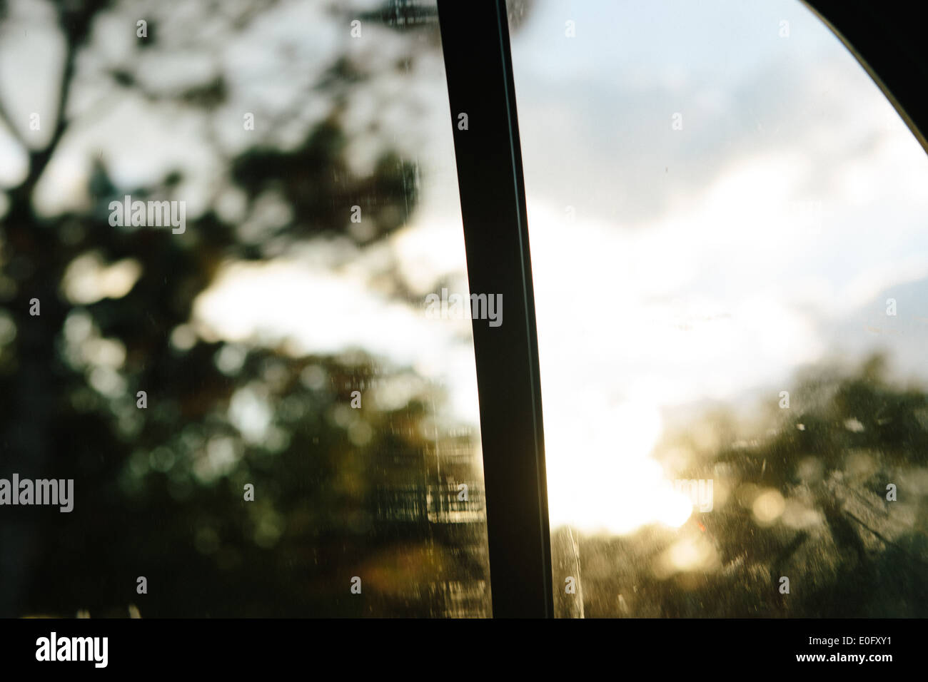 Reflection of trees, sky, and sun in taxi window Stock Photo - Alamy