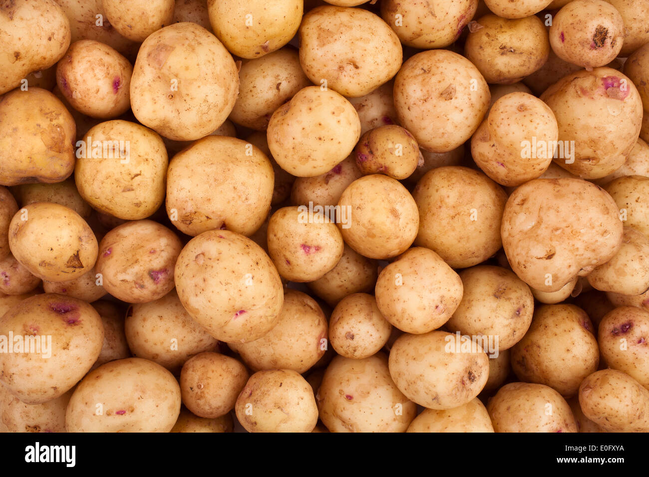 new potatoes background Stock Photo - Alamy