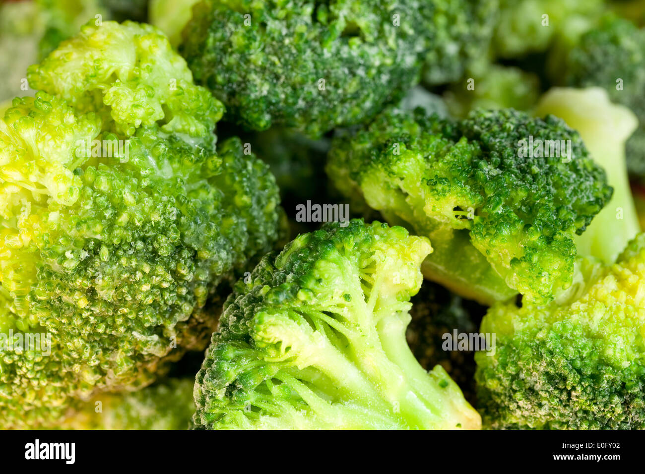 green frozen broccoli (Brassica oleracea) as background Stock Photo - Alamy