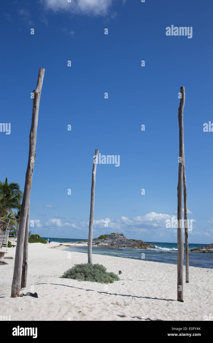Five wooden branches in sand in front of blue sky and ocean with palm ...