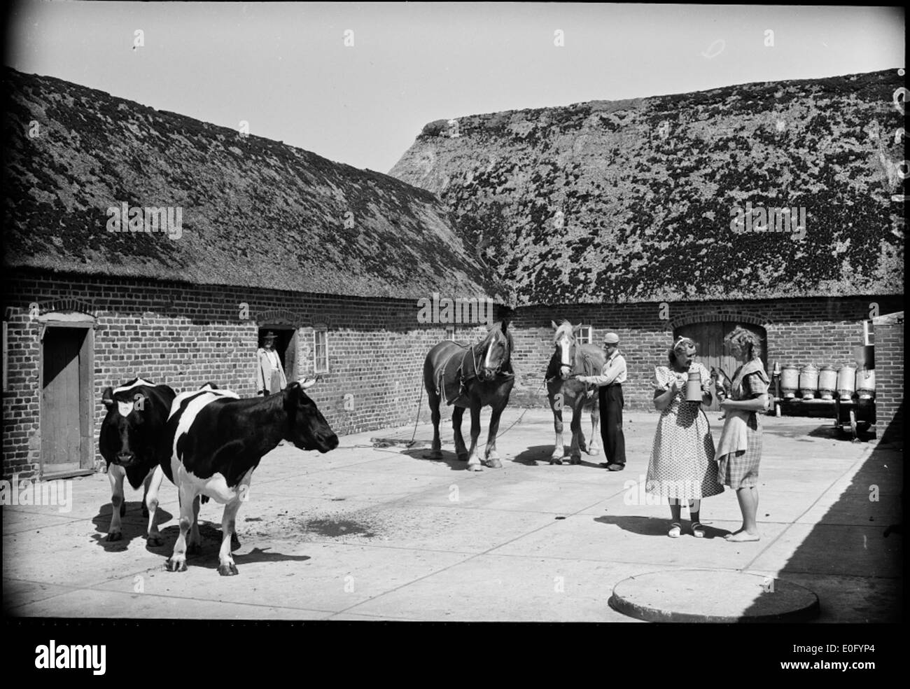 Perry green farm hi-res stock photography and images - Alamy