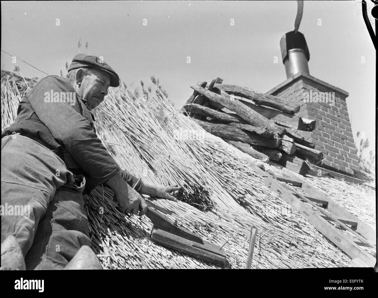 Photo captures trees in Black and White Stock Photos & Images - Alamy