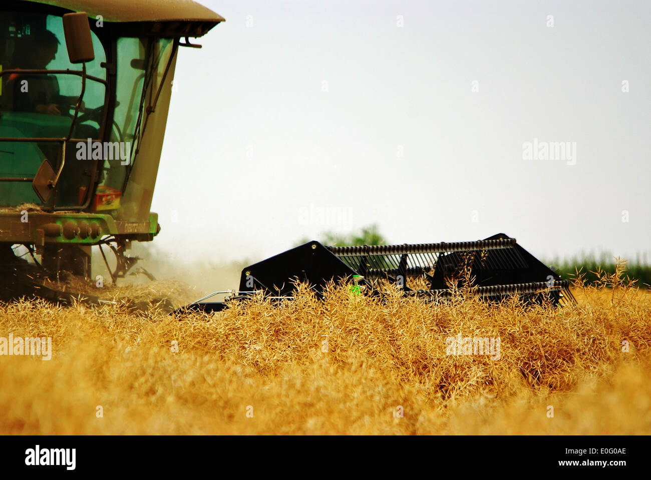 Working combine harvesters hi-res stock photography and images - Alamy
