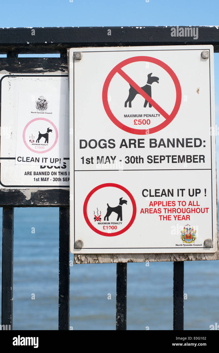 Sign or notice Dogs are banned from Whitley Bay beach north east ...