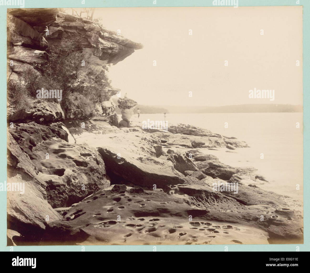 Cabbage tree point hi-res stock photography and images - Alamy