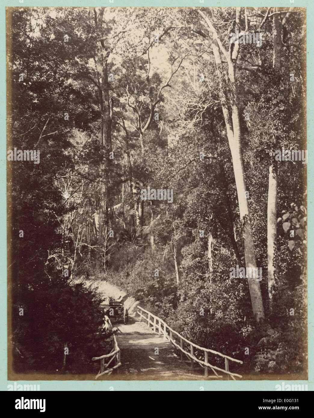 A scenic photograph of Lady Carrington Road and the Tamur Brook bridge ...
