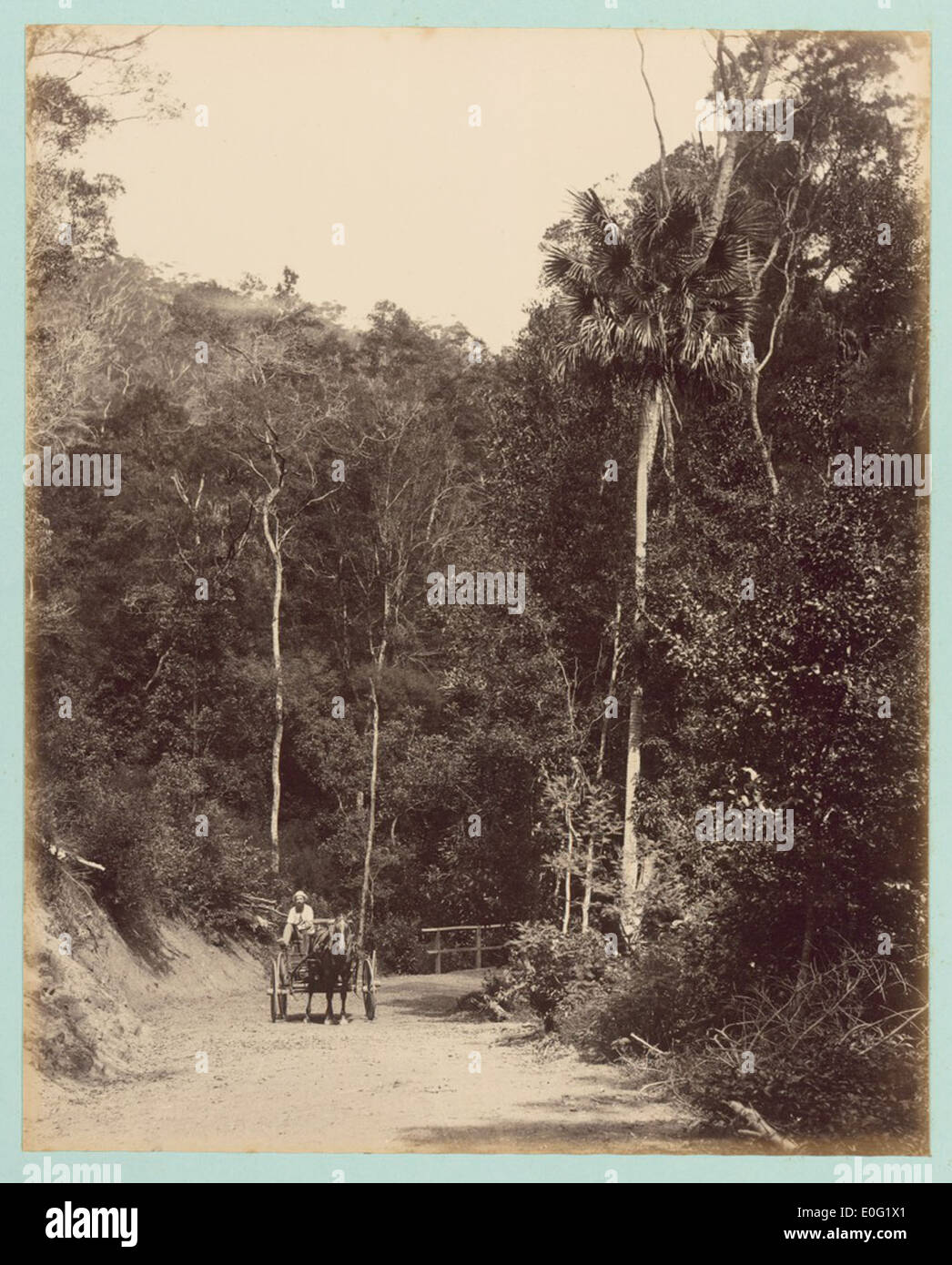 A scenic view of Lady Carrington Road at the Bola Creek bridge in New ...