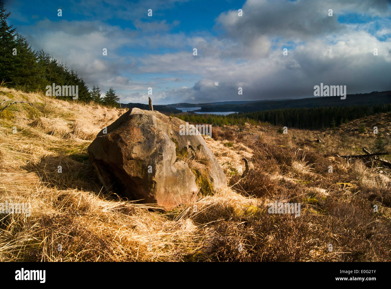 Kielder park hi-res stock photography and images - Alamy