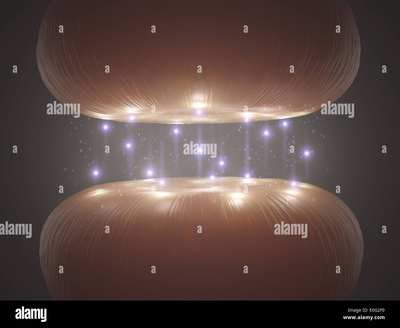 Electrical synapse and chemical synapse hi-res stock photography and ...