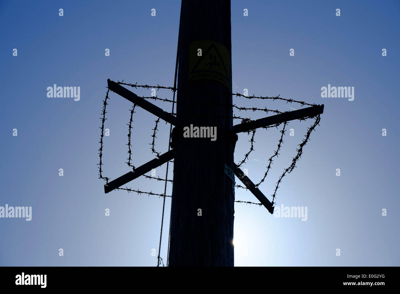 Barbed wire security on electricity supply post Stock Photo - Alamy