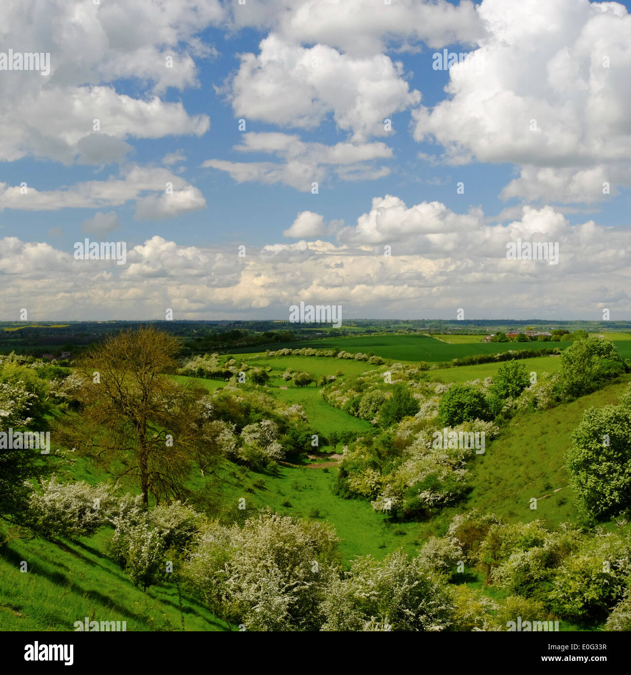 Ivinghoe hills hi-res stock photography and images - Alamy