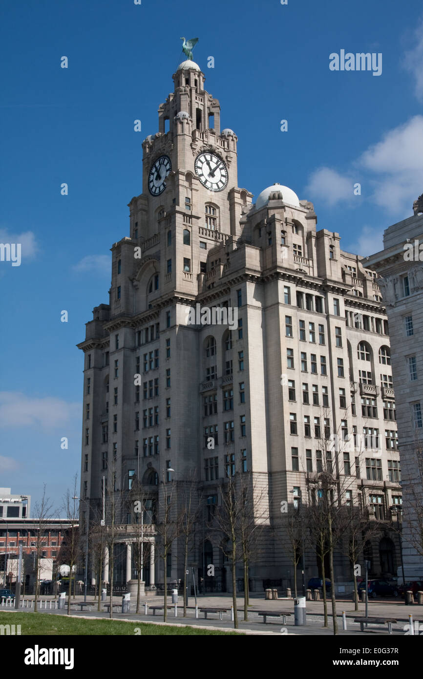 Royal Liver Building Liverpool Stock Photo - Alamy