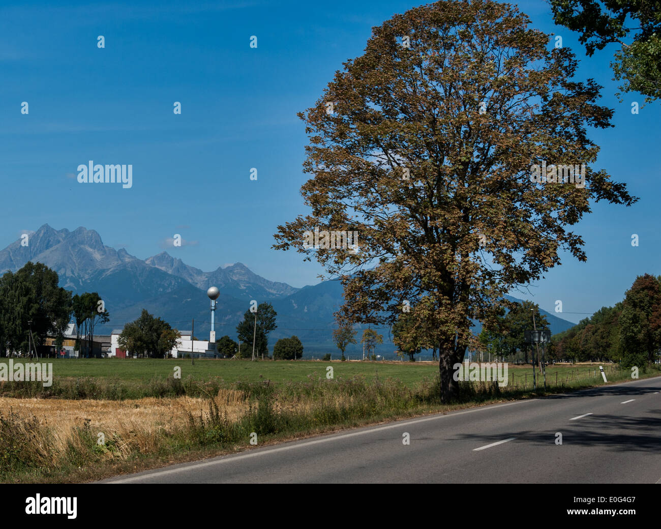 Roadside Tree and High Tatras visible from Spisska Bela - Zdiar road ...