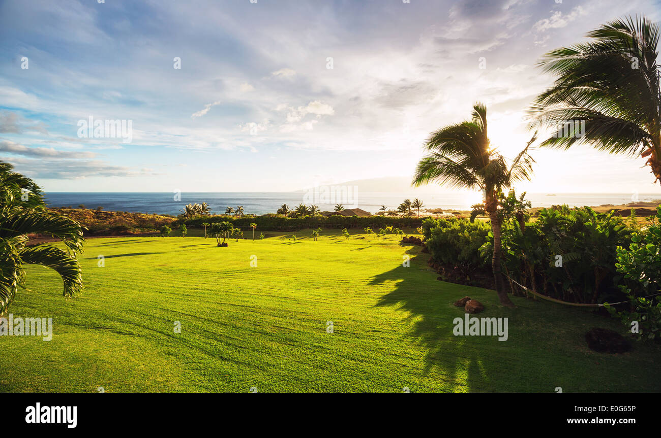 Sunset grassy field hi-res stock photography and images - Alamy