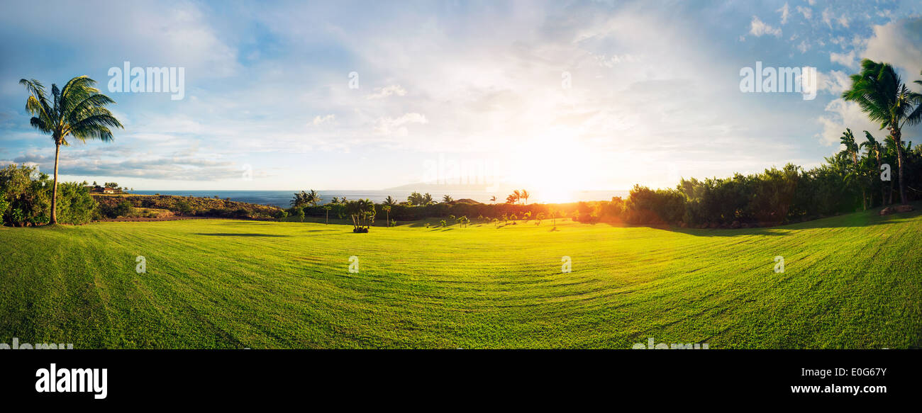 Grassy Green Field at Sunset Stock Photo - Alamy