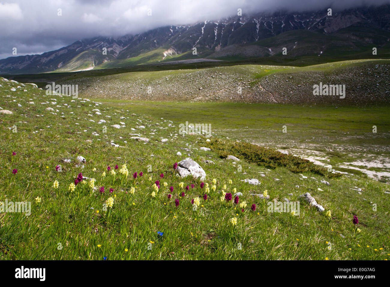 Italy abruzzo campo imperatore plain hi-res stock photography and ...