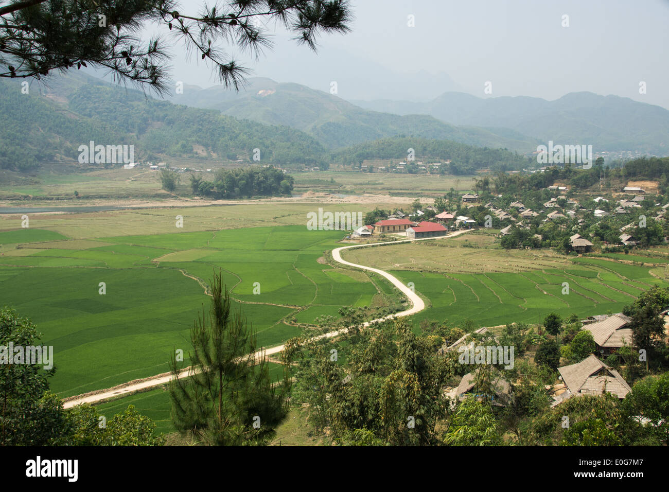 Rice padi hi-res stock photography and images - Alamy