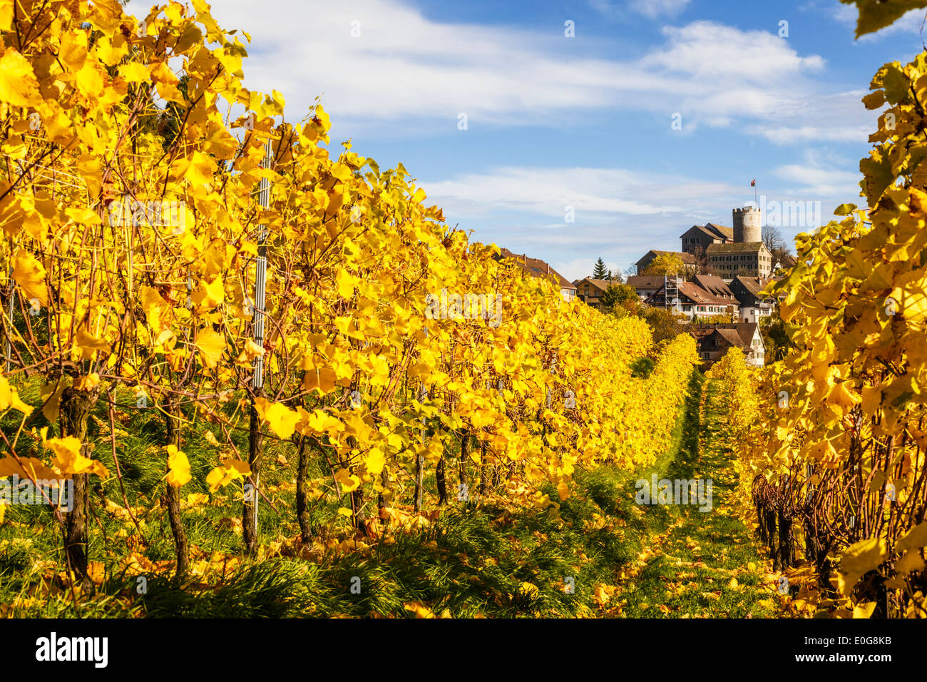Regensberg castle hi-res stock photography and images - Alamy