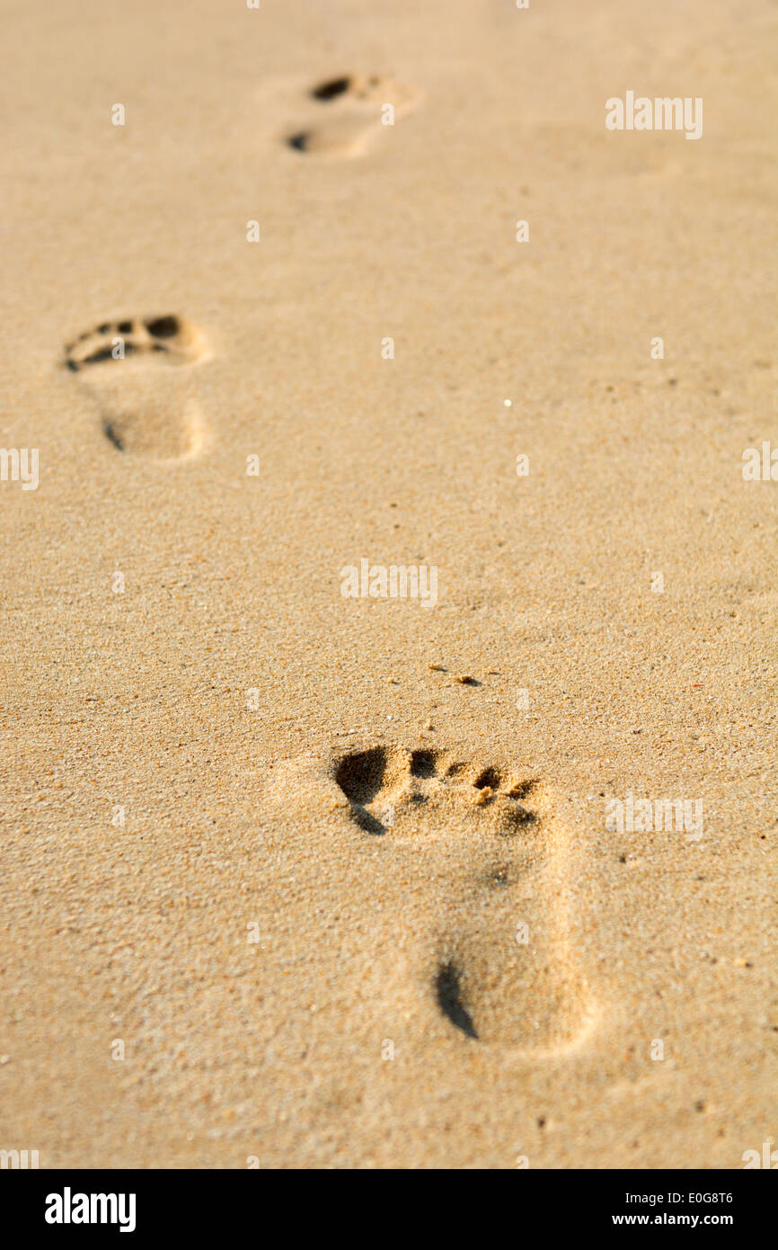 Human footsteps on atlantic fine beach sand Stock Photo - Alamy
