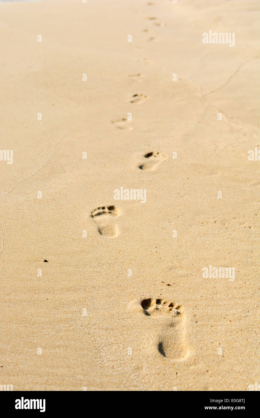 Human footsteps on atlantic fine beach sand Stock Photo - Alamy
