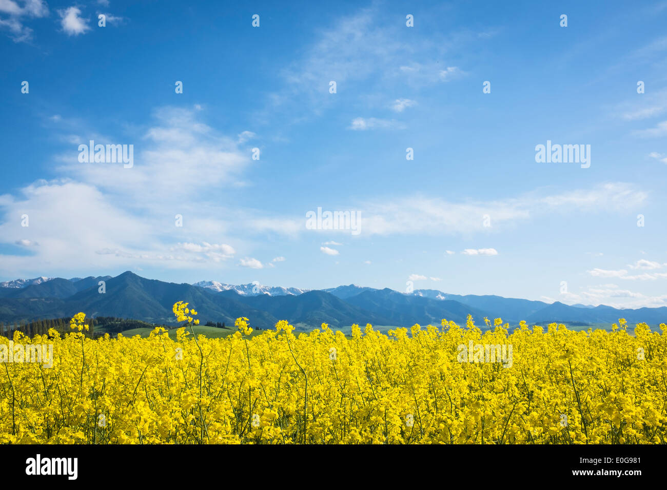 Very low horizon hi-res stock photography and images - Alamy