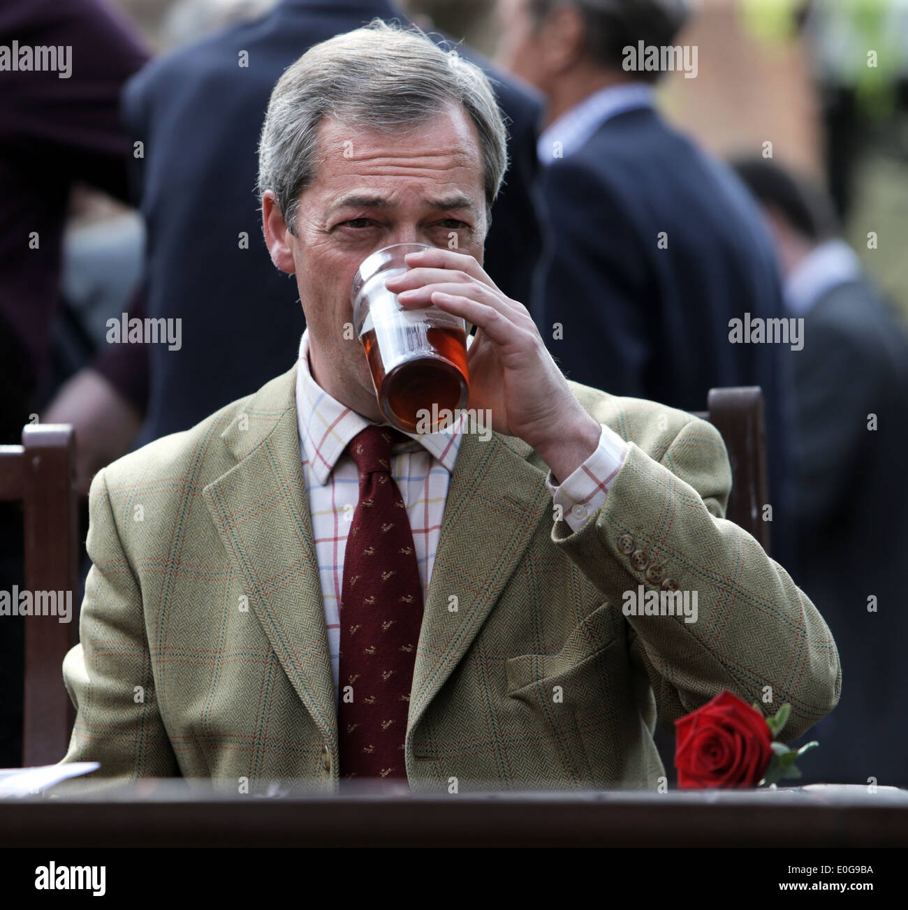 Leader of the UKIP Party, Nigel Farage MEP in the Black Bull pub, Yarm ...