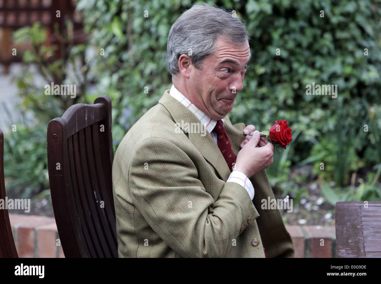 Leader of the UKIP Party Nigel Farage MEP in the Black Bull pub, Yarm ...