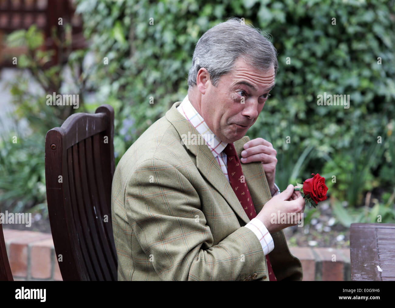Leader of the UKIP Party Nigel Farage MEP in the Black Bull pub, Yarm ...