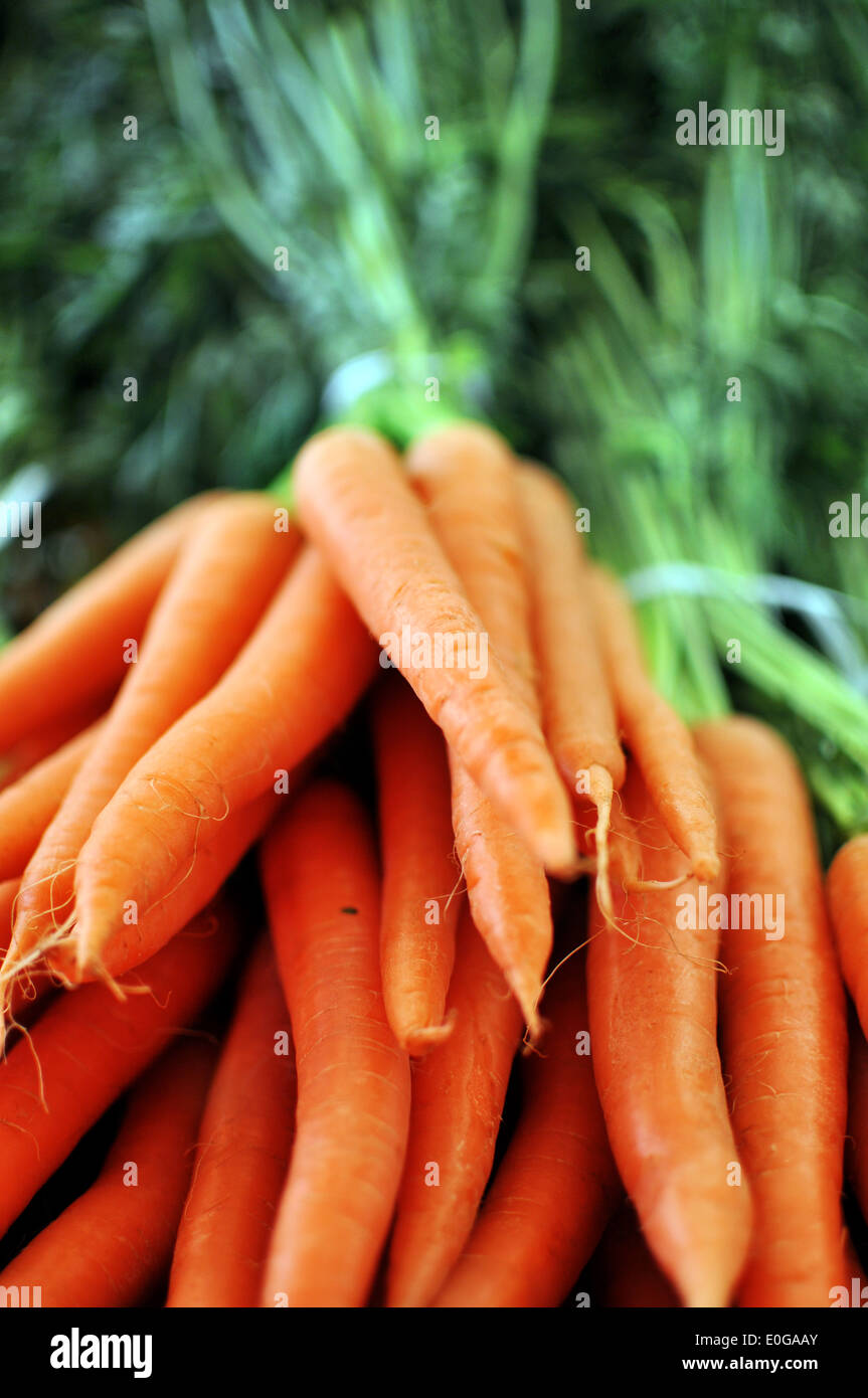 Rustic bunch of carrots Stock Photo - Alamy