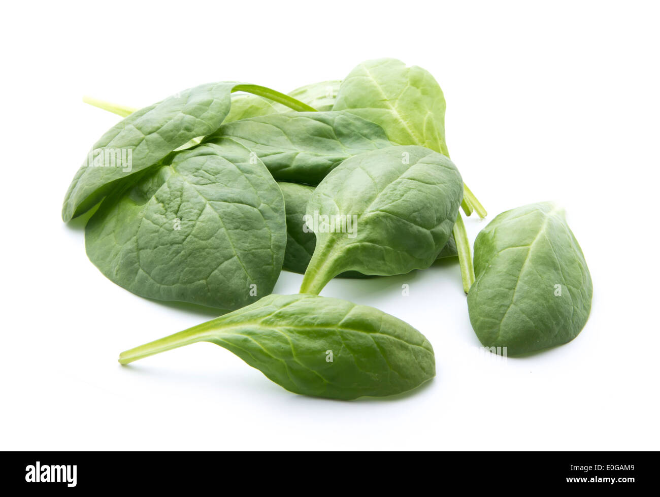 young fresh spinach leaves isolated on white background Stock Photo - Alamy
