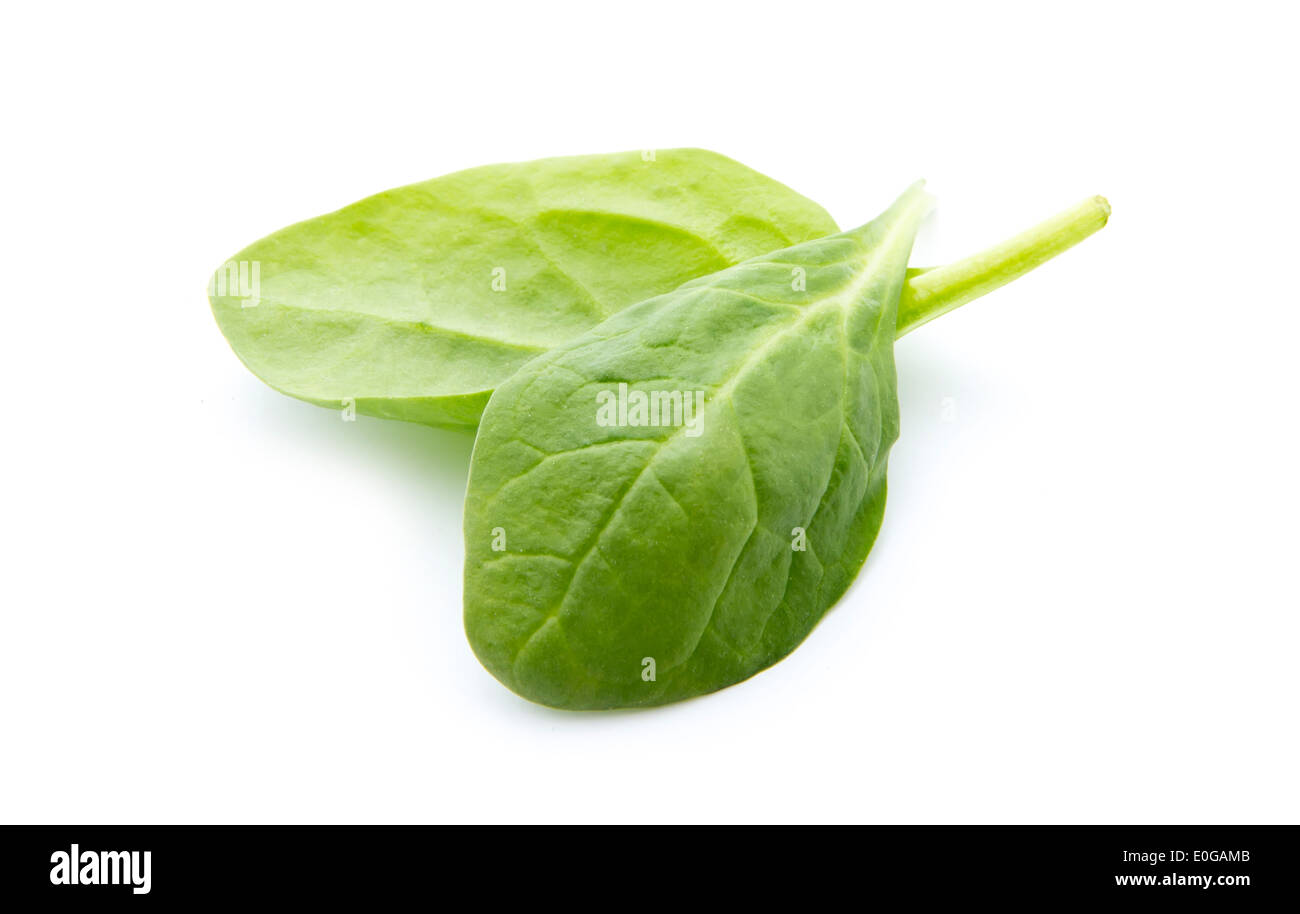 Food fresh spinach leaves hi-res stock photography and images - Alamy