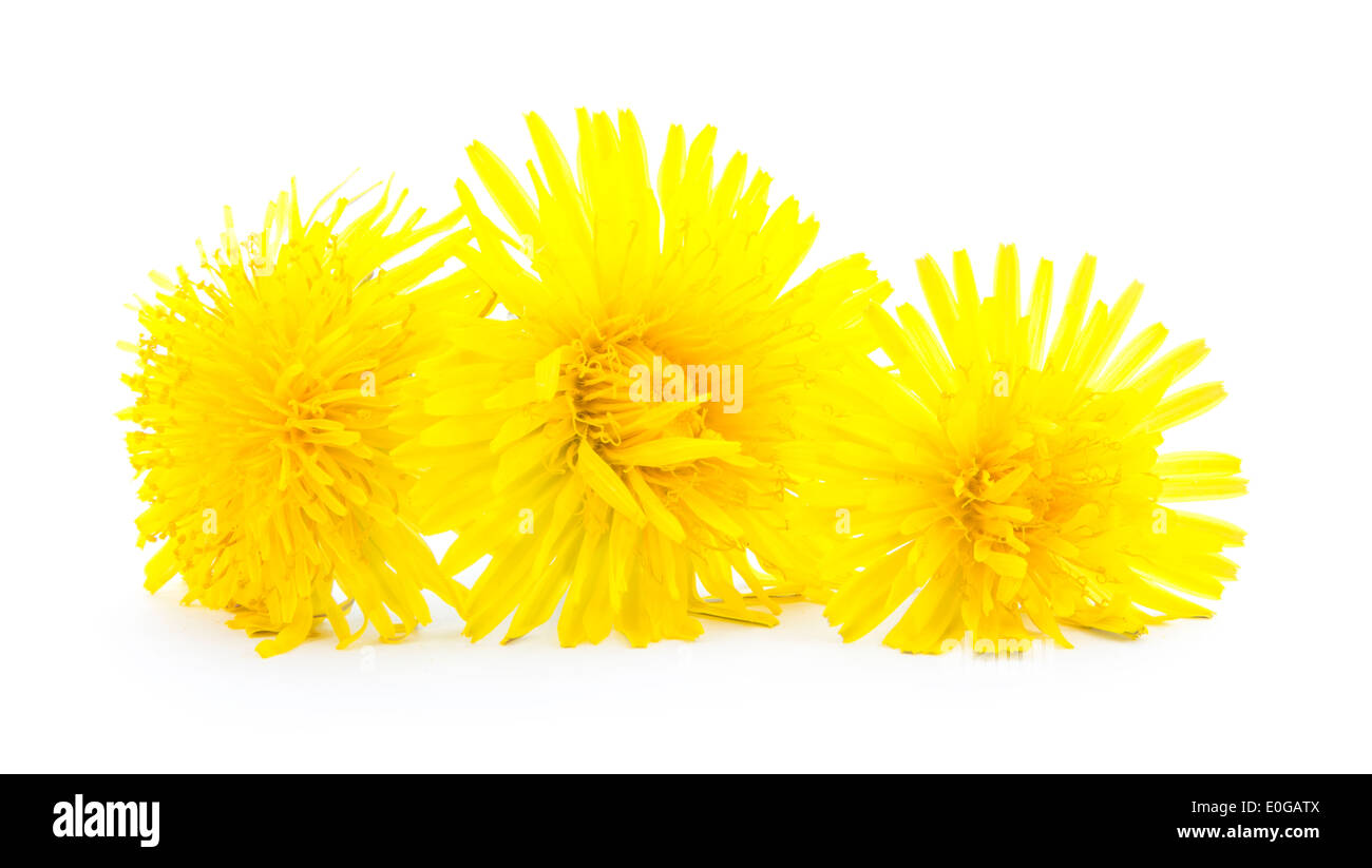 Peak flowers Cut Out Stock Images & Pictures - Alamy
