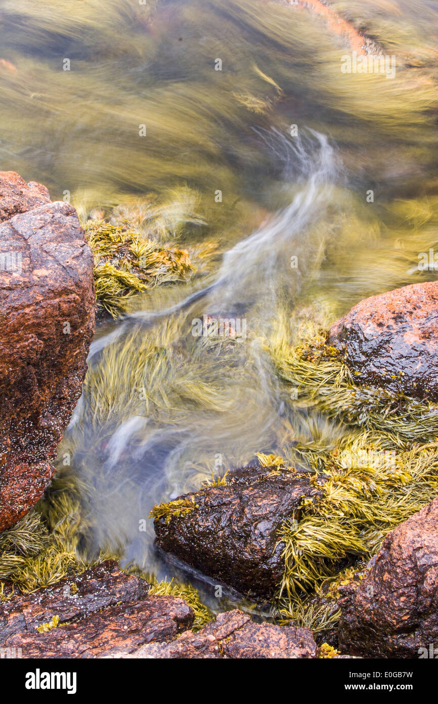 water flow movement, Acadia National Park, Maine, USA Stock Photo - Alamy
