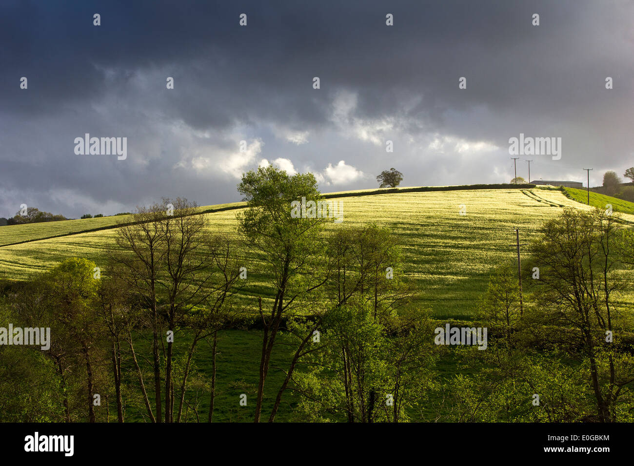 Pastoral farming hi-res stock photography and images - Alamy