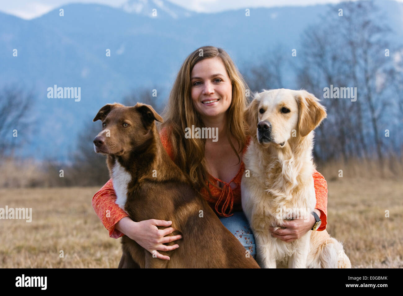 Long hair dogs hi-res stock photography and images - Alamy