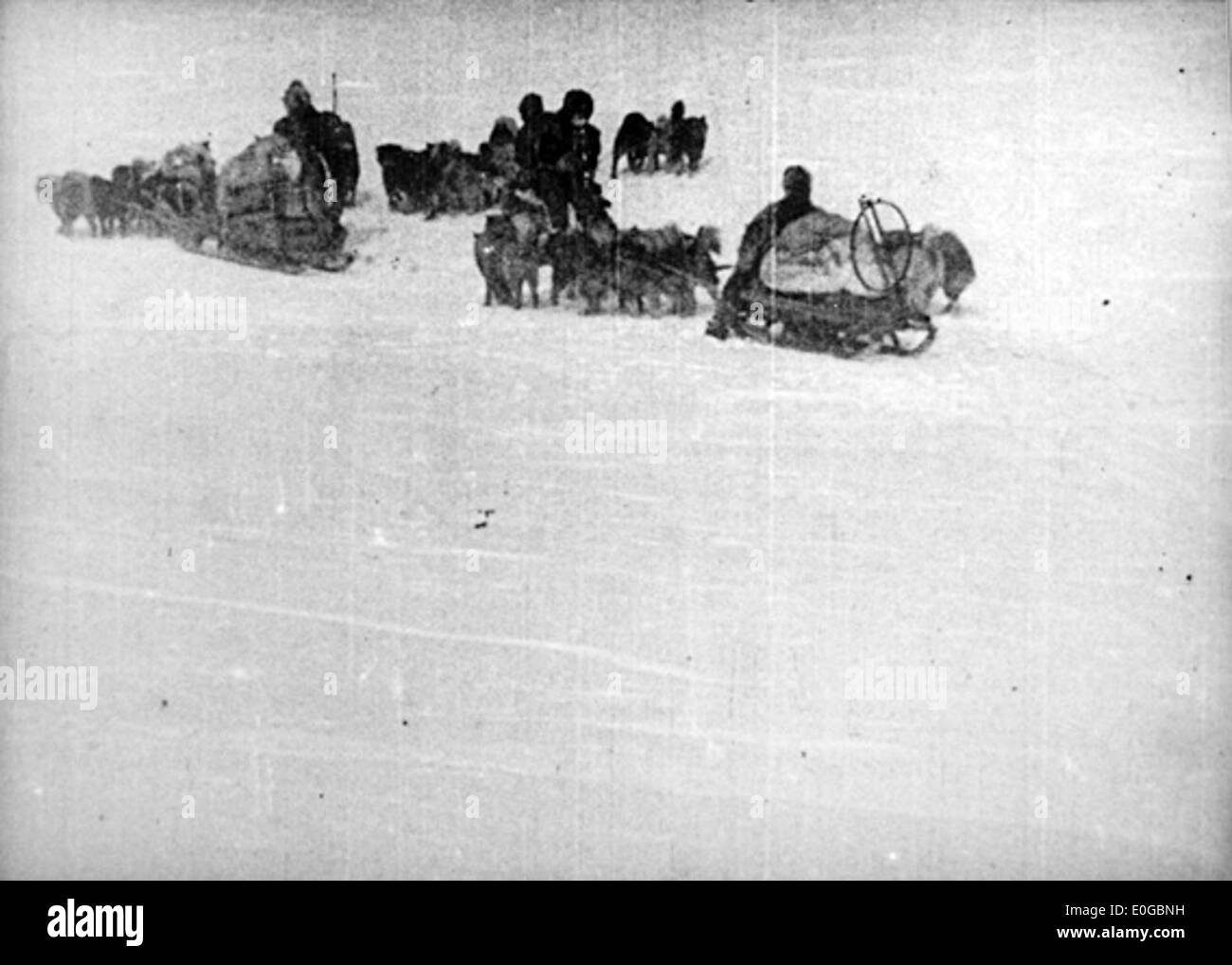 Norwegian south pole expedition hi-res stock photography and images - Alamy