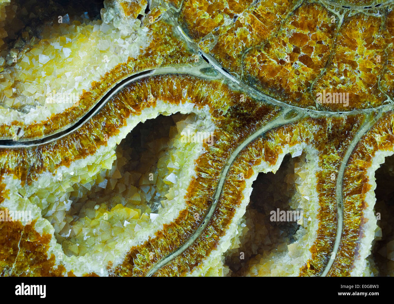 geode inside an ammonite shell Stock Photo - Alamy