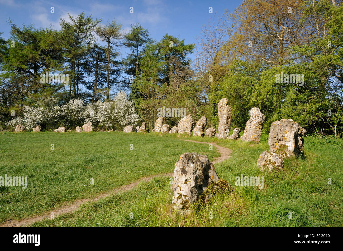 Part of The Kings Men Neolithic Stone Circle, Rollright Stones Stock ...