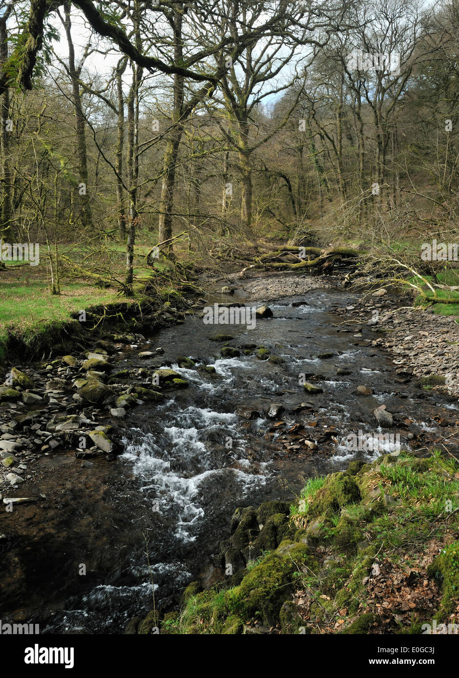 Devon and somerset border hi-res stock photography and images - Alamy