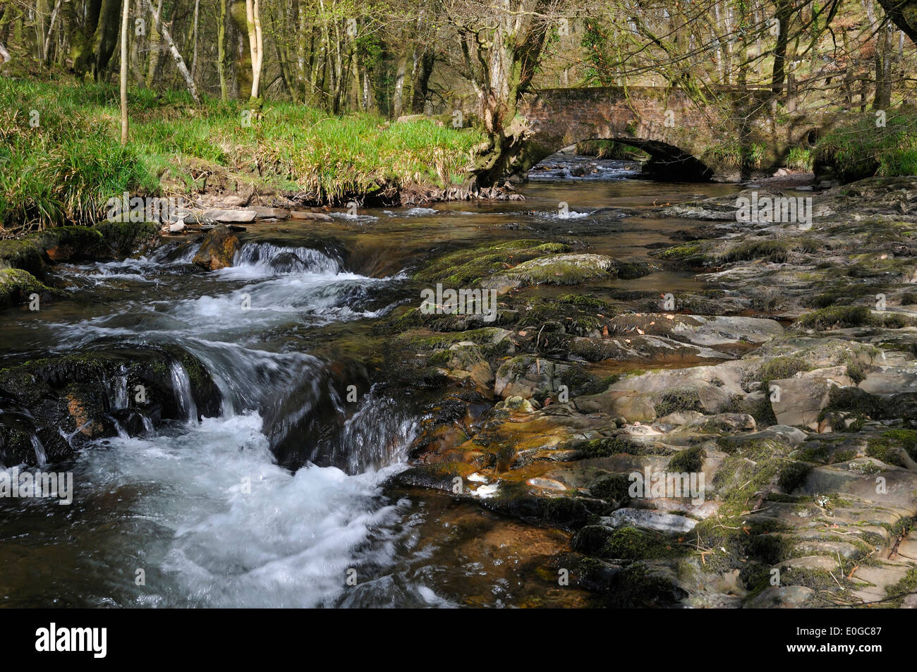 Devon and somerset border hi-res stock photography and images - Alamy