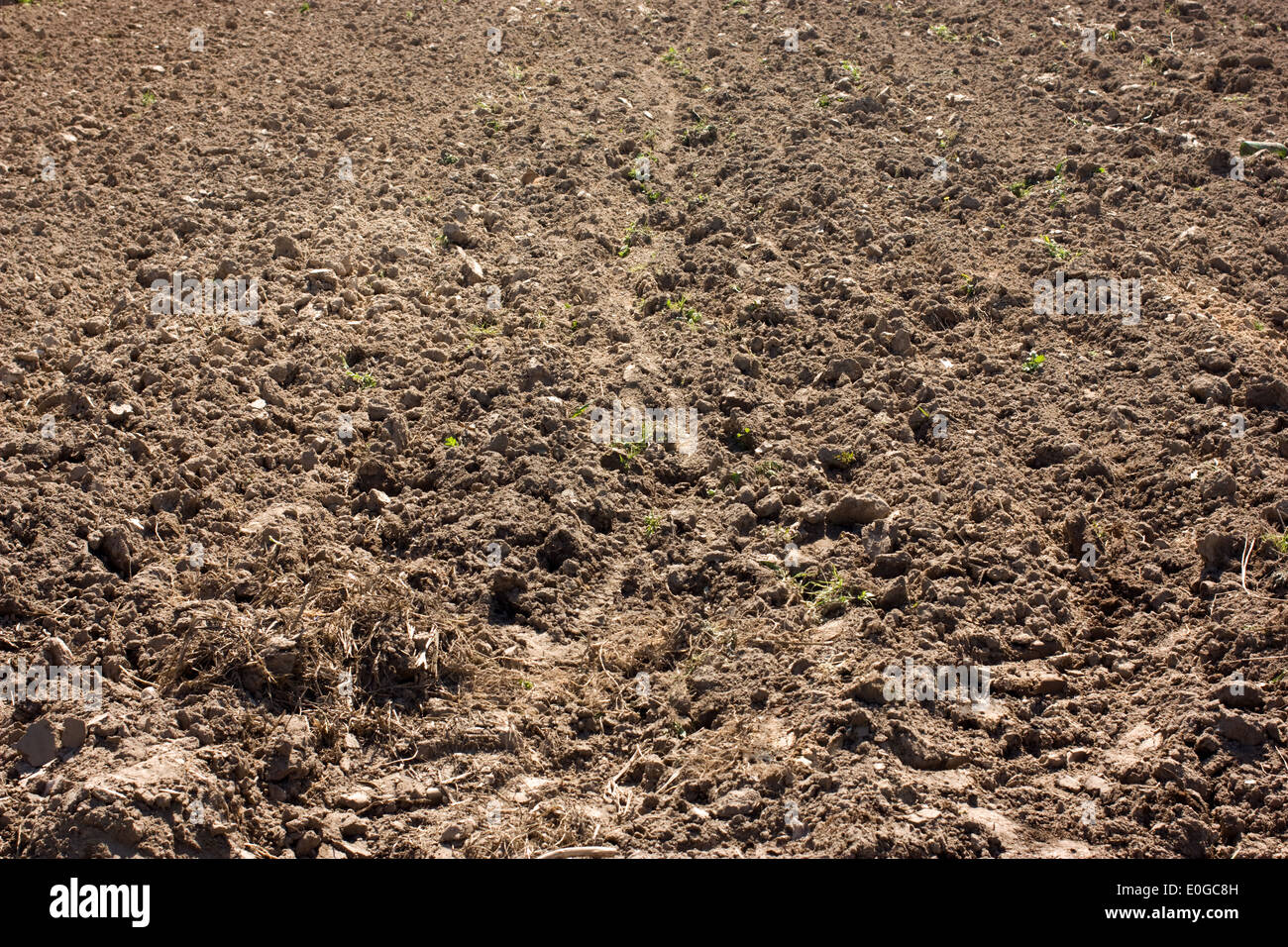 Surface Soil Under High Resolution Stock Photography and Images - Alamy