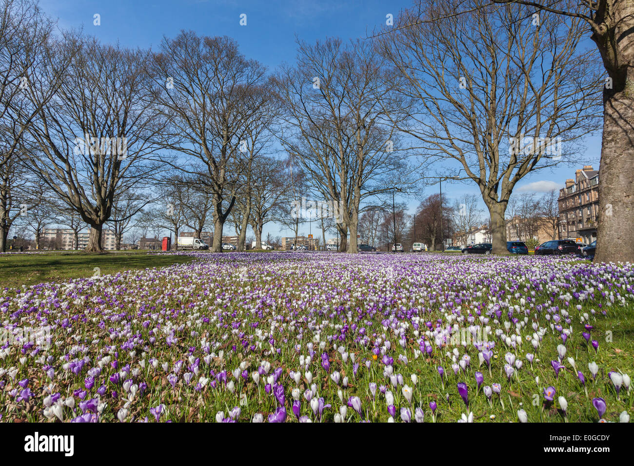 Harrogate town centre hi-res stock photography and images - Alamy