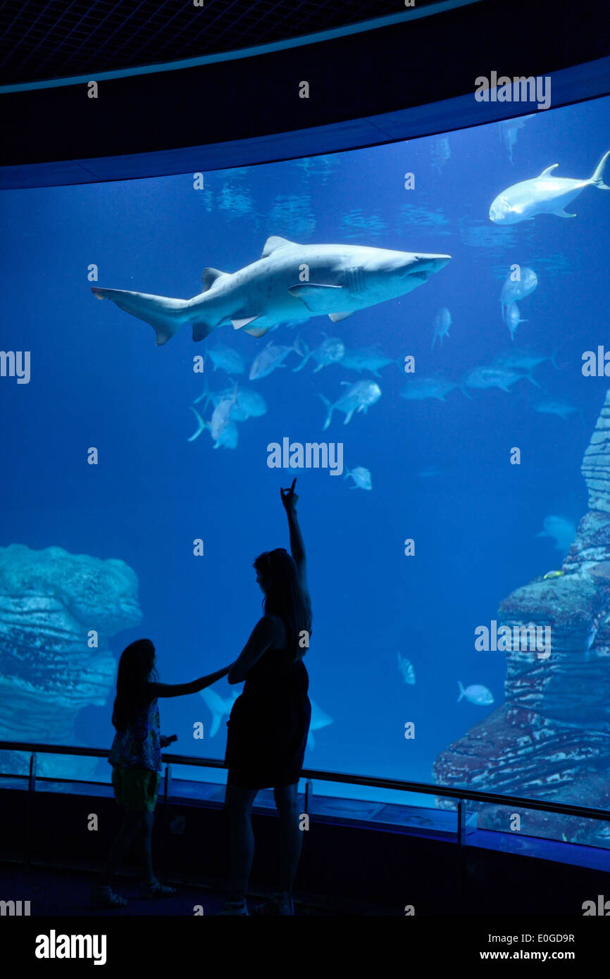Oceanografic hi-res stock photography and images - Alamy