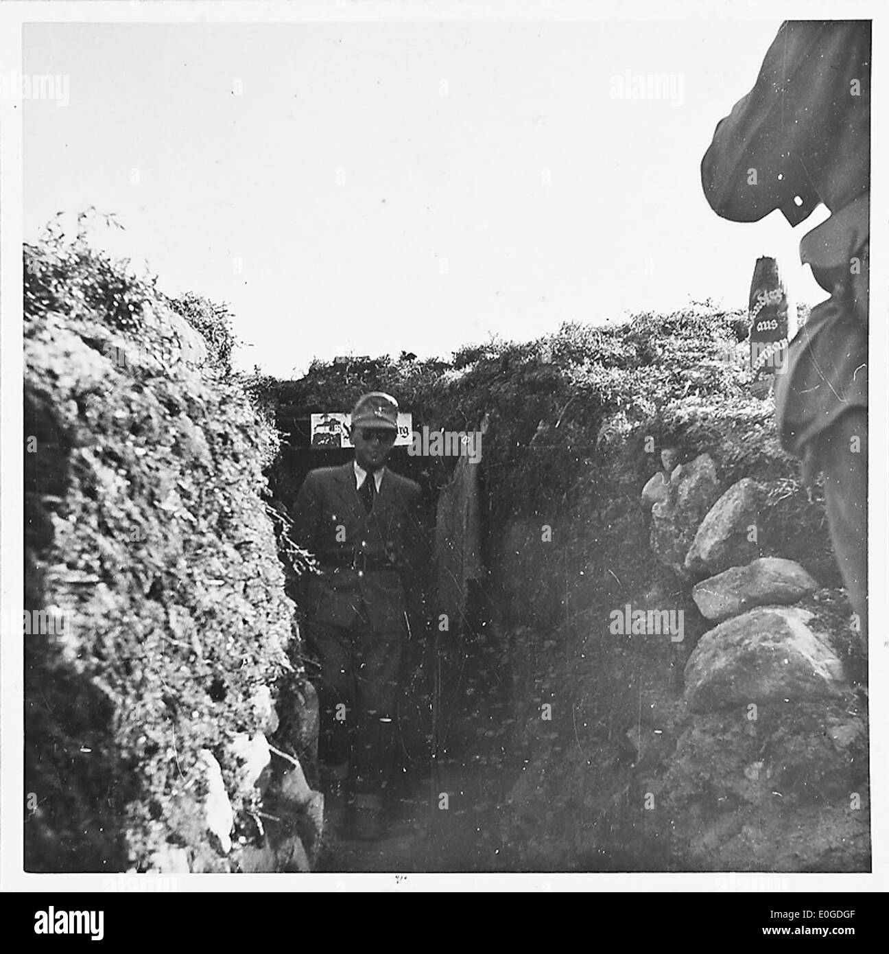 A historical image of the Edelweiss, symbolizing resistance movements ...