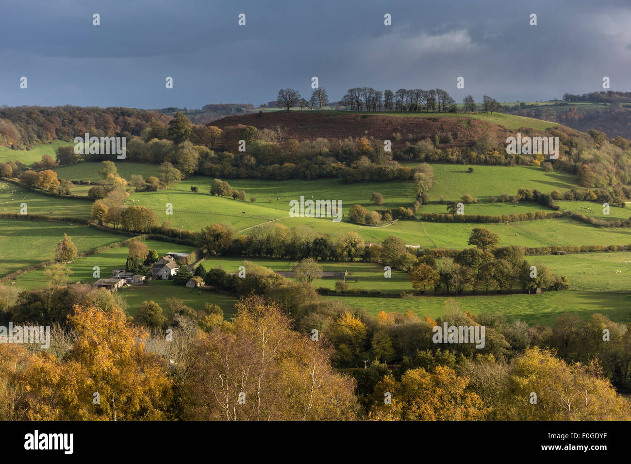 View from Cam Long Down, near Dursley, Gloucestershire Stock Photo - Alamy