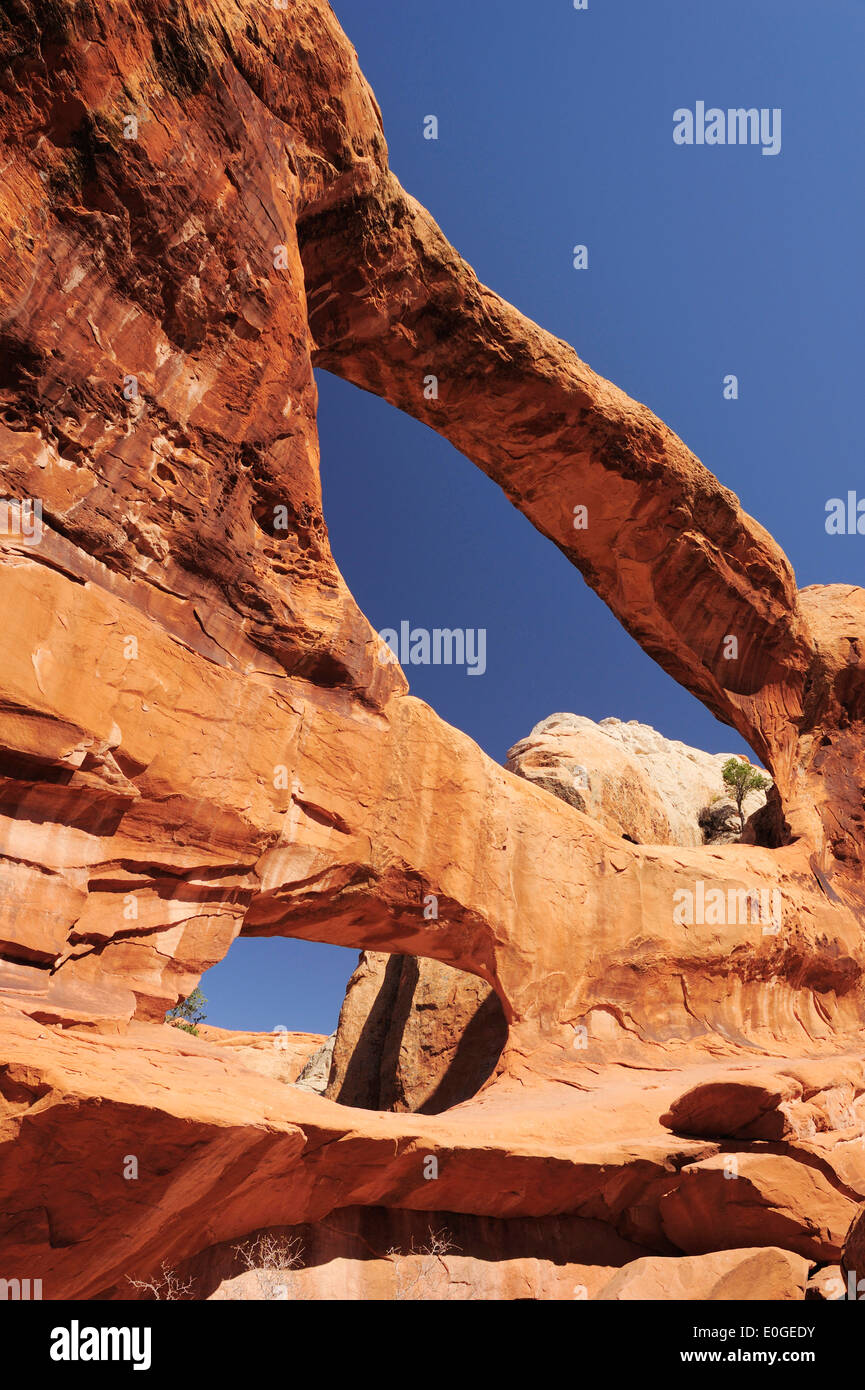 Double O Arch in the sunlight, Arches National Park, Moab, Utah ...