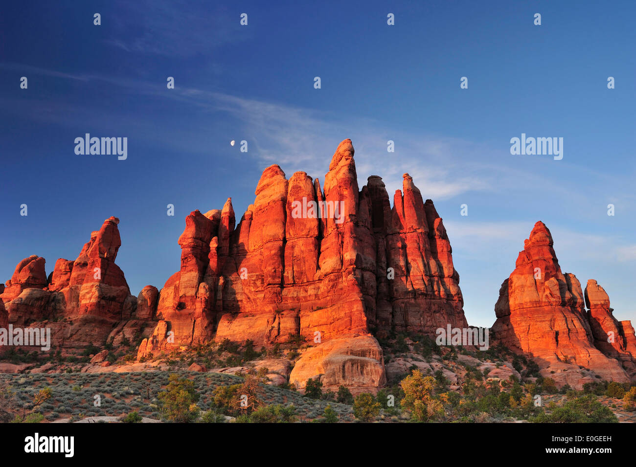 Rock spires in Chesler Park, Needles Area, Canyonlands National Park ...