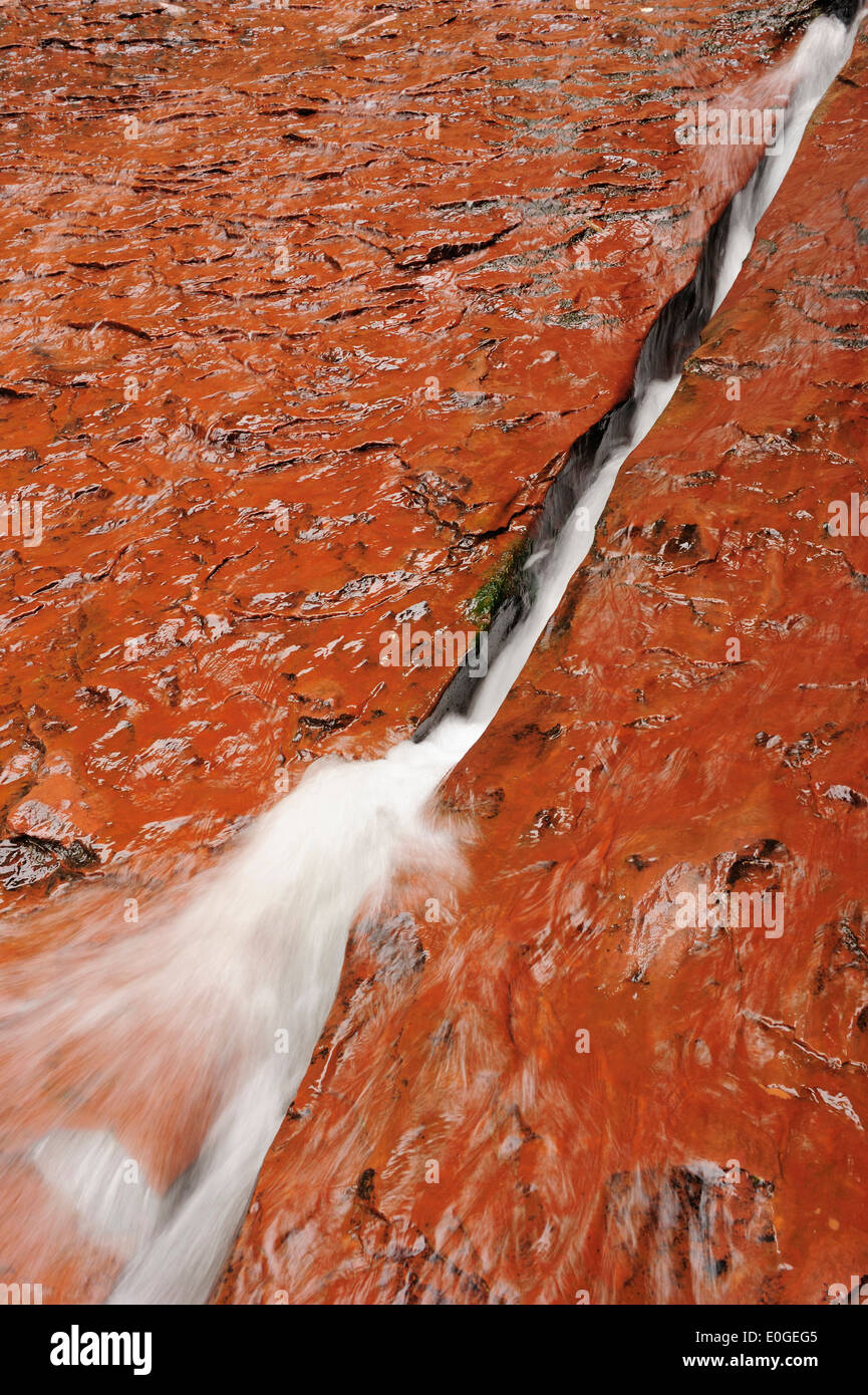 Water running through crack in rock, Subway, North Creek, Zion National ...