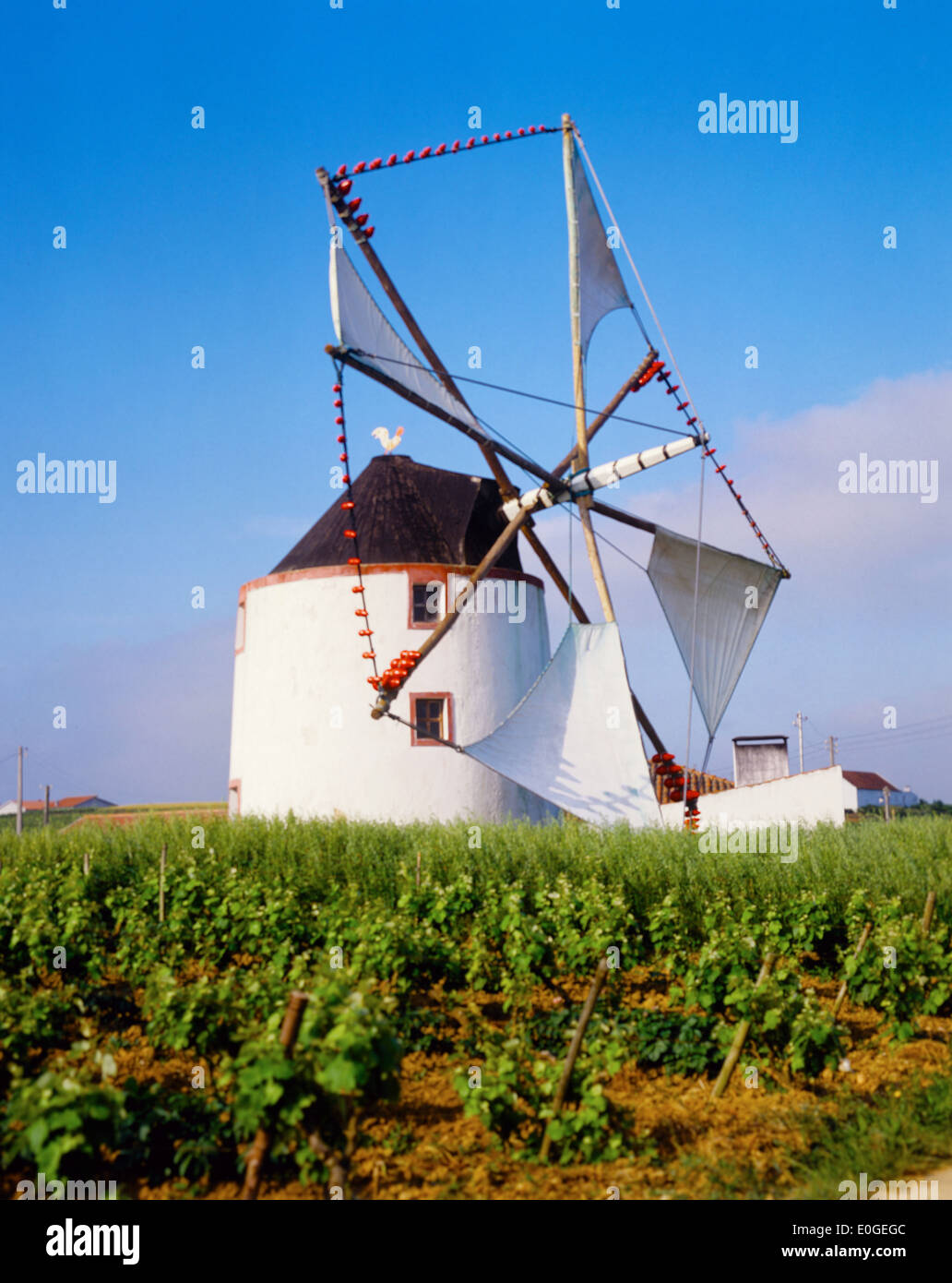 Windmill in Sweden countryside Stock Photo - Alamy